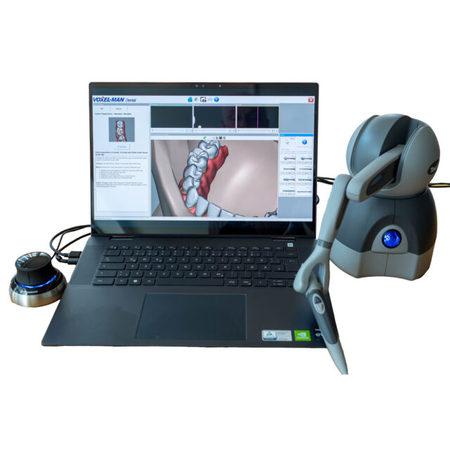 VOXEL-MAN Dental – Virtual Dental Simulator
