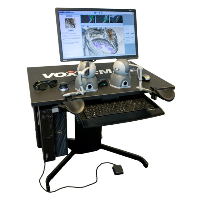 VOXEL-MAN Tempo – Virtual Ear Surgery Simulator